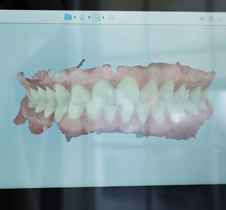 Meet Our Expert Dental Team | Modern Smile Design Sarasota